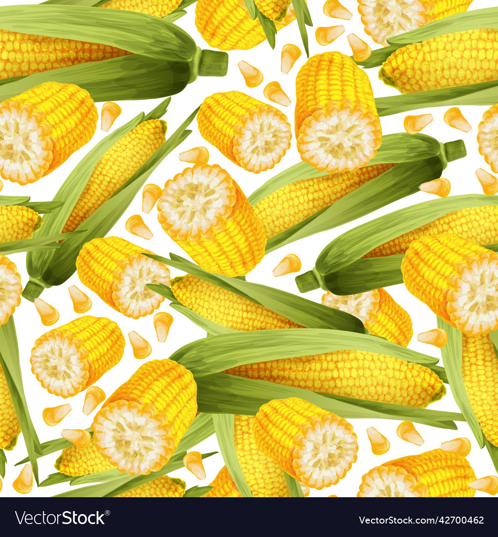 Corn seamless pattern Royalty Free Vector Image