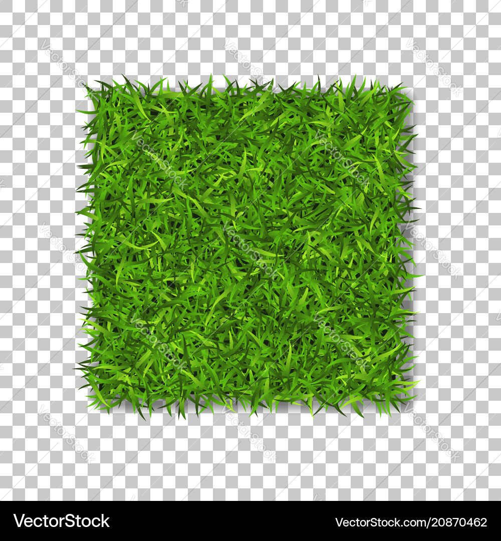Grass square 3d beautiful green grassy field Vector Image
