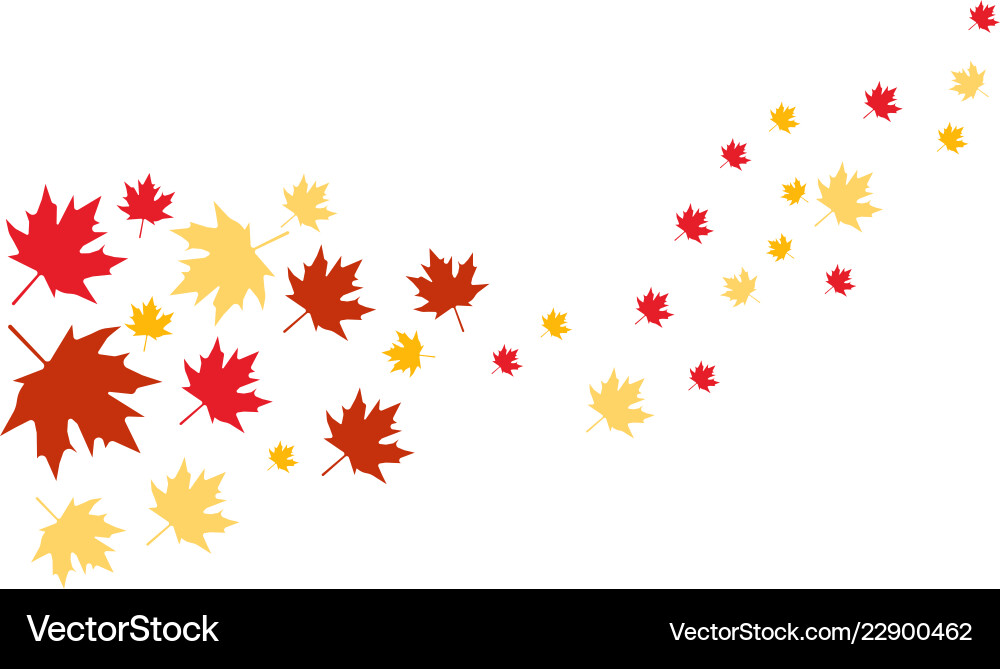 Mapple leaves logo and symbol Royalty Free Vector Image