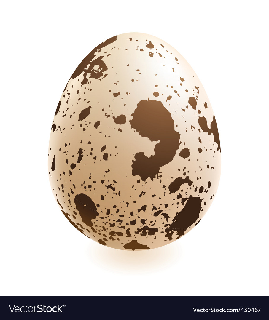 Egg Royalty Free Vector Image - VectorStock