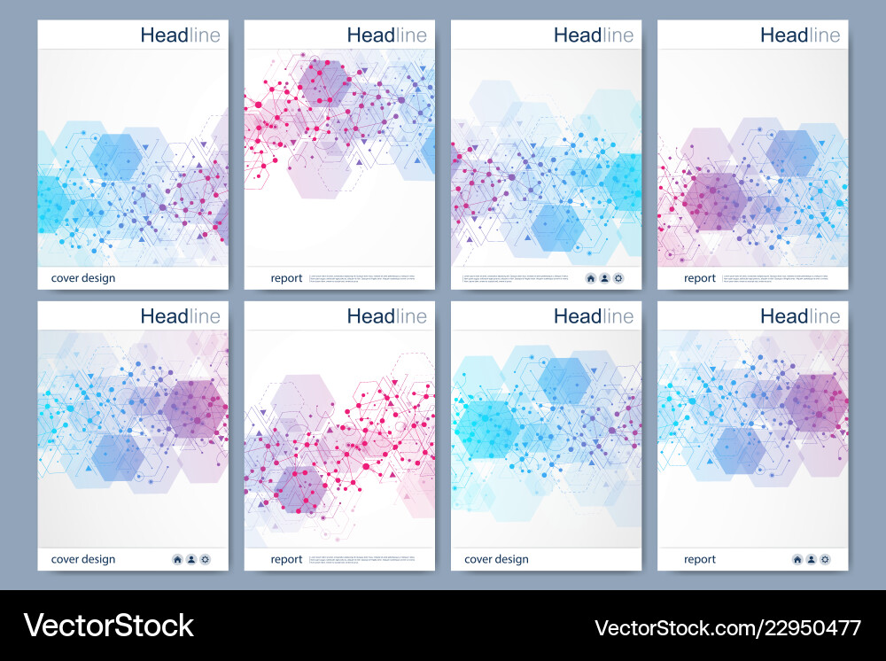Business templates brochure magazine leaflet Vector Image