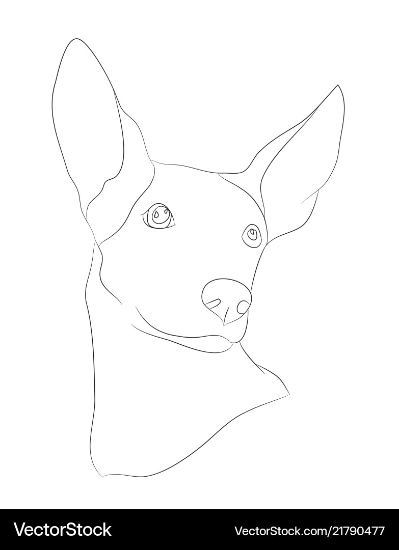 Dog portrait lines Royalty Free Vector Image - VectorStock