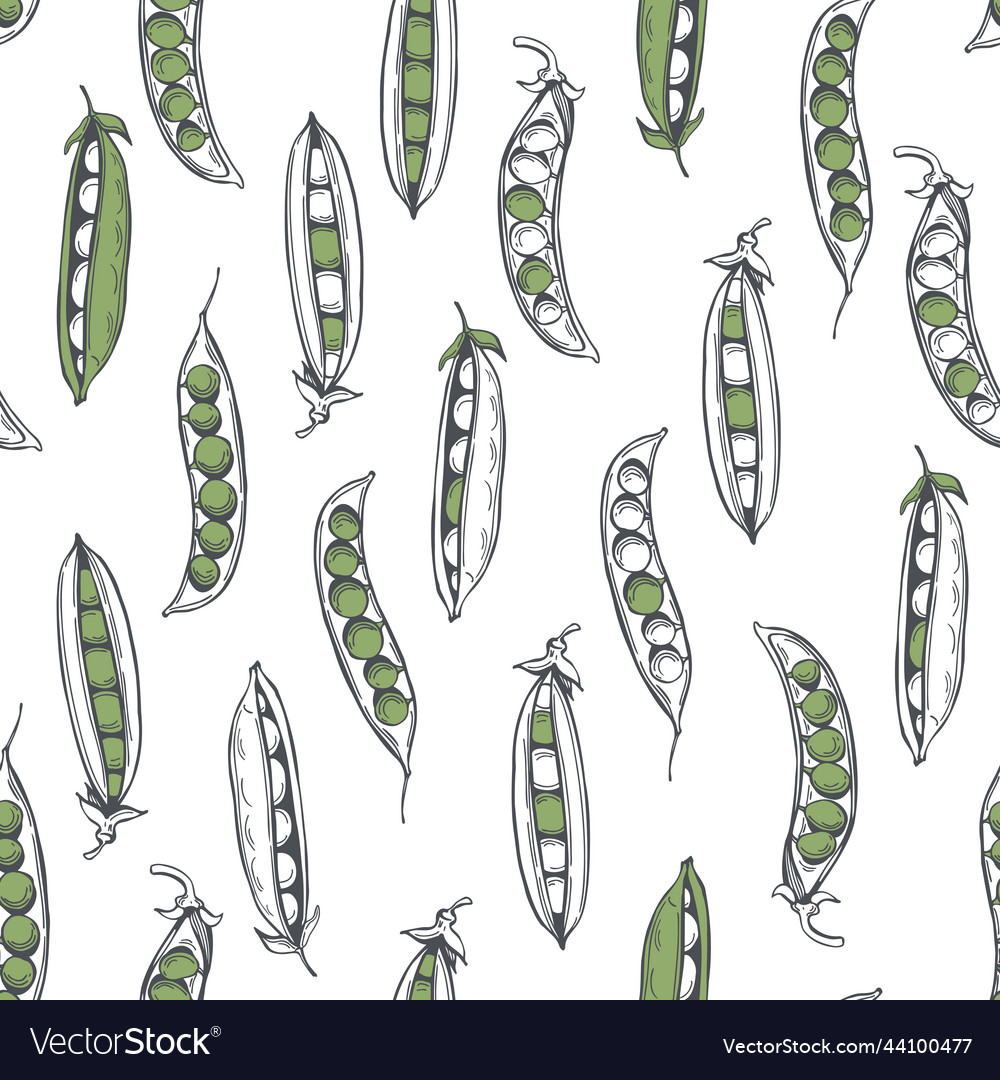 Hand-drawn peas pattern Royalty Free Vector Image