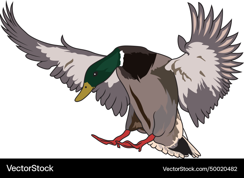 Duck mallard hunting logo Royalty Free Vector Image