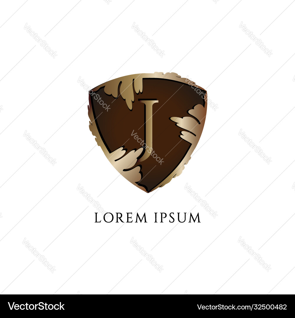 Luxury decorative metallic gold shield sign Vector Image