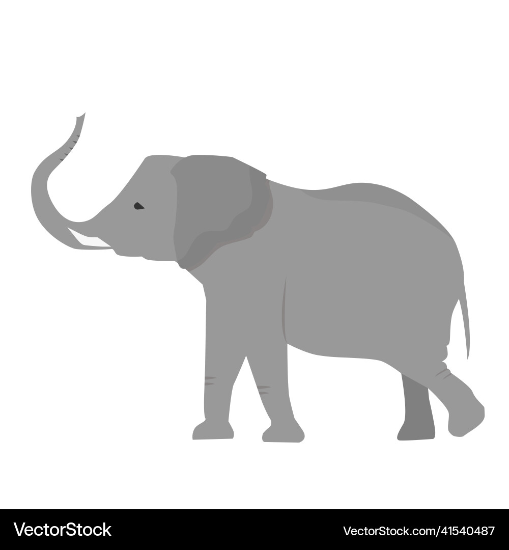African elephant in flat style isolated on white Vector Image
