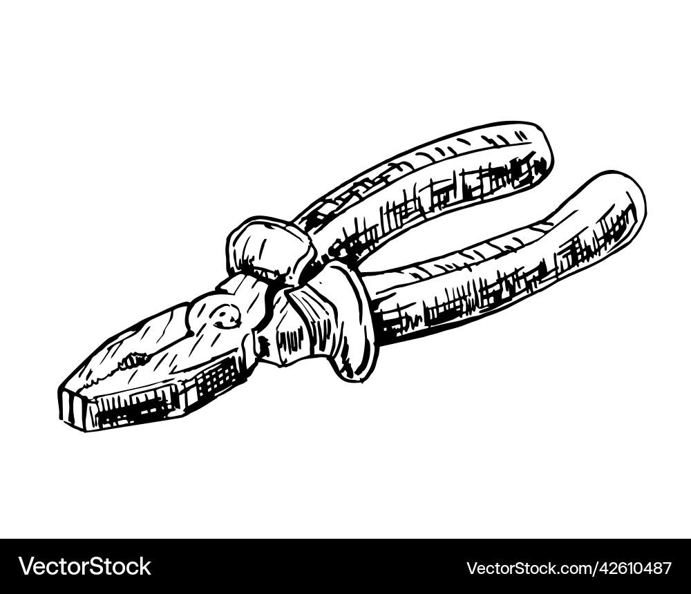 Pliers tool sketch hand drawn plier icon Vector Image