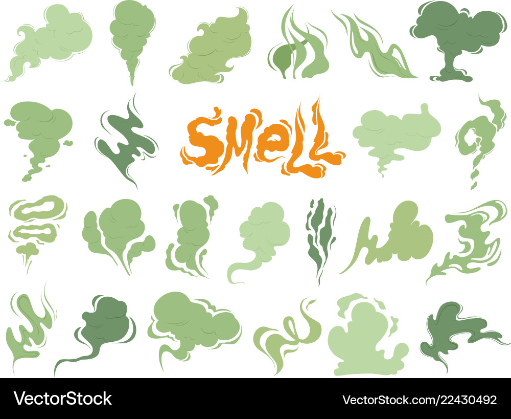 Bad smell steam smoke clouds cigarettes or Vector Image