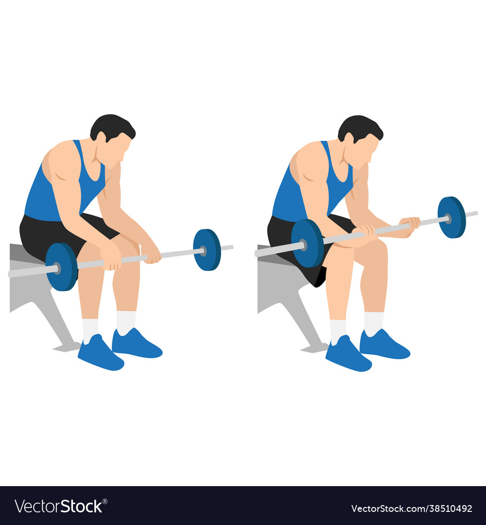 Man Doing Seated Palm Down Wrist Curls Exercise Vector Image
