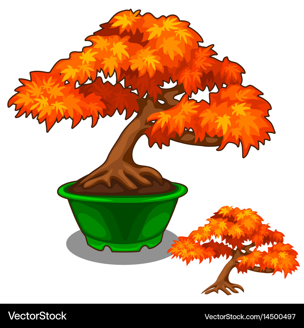 Autumn bonsai in a pot tree Royalty Free Vector Image