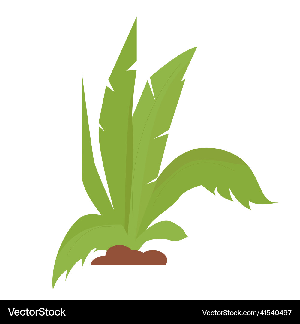 Plants bushes grass in flat style isolated Vector Image