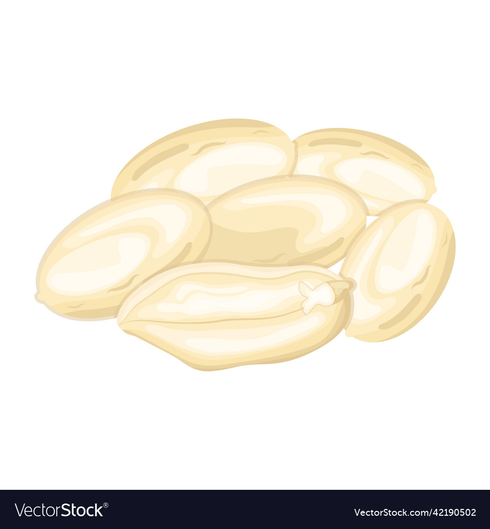 Peanuts Royalty Free Vector Image - VectorStock