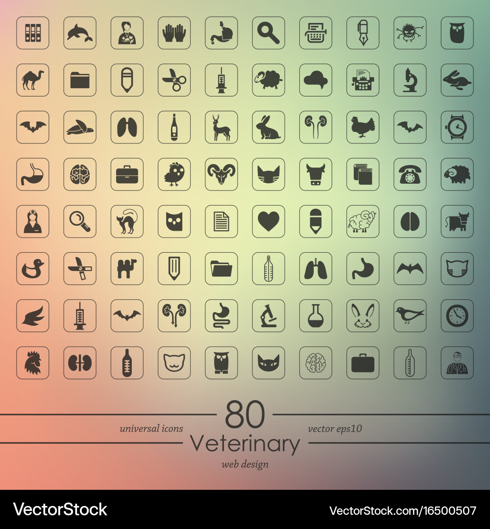 Set of veterinary icons Royalty Free Vector Image