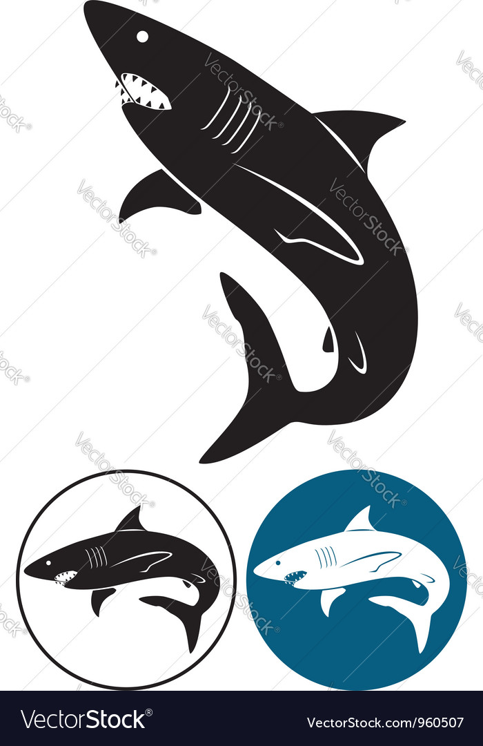 Shark Royalty Free Vector Image - VectorStock