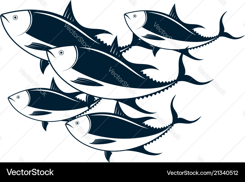 A flock of tuna Royalty Free Vector Image - VectorStock