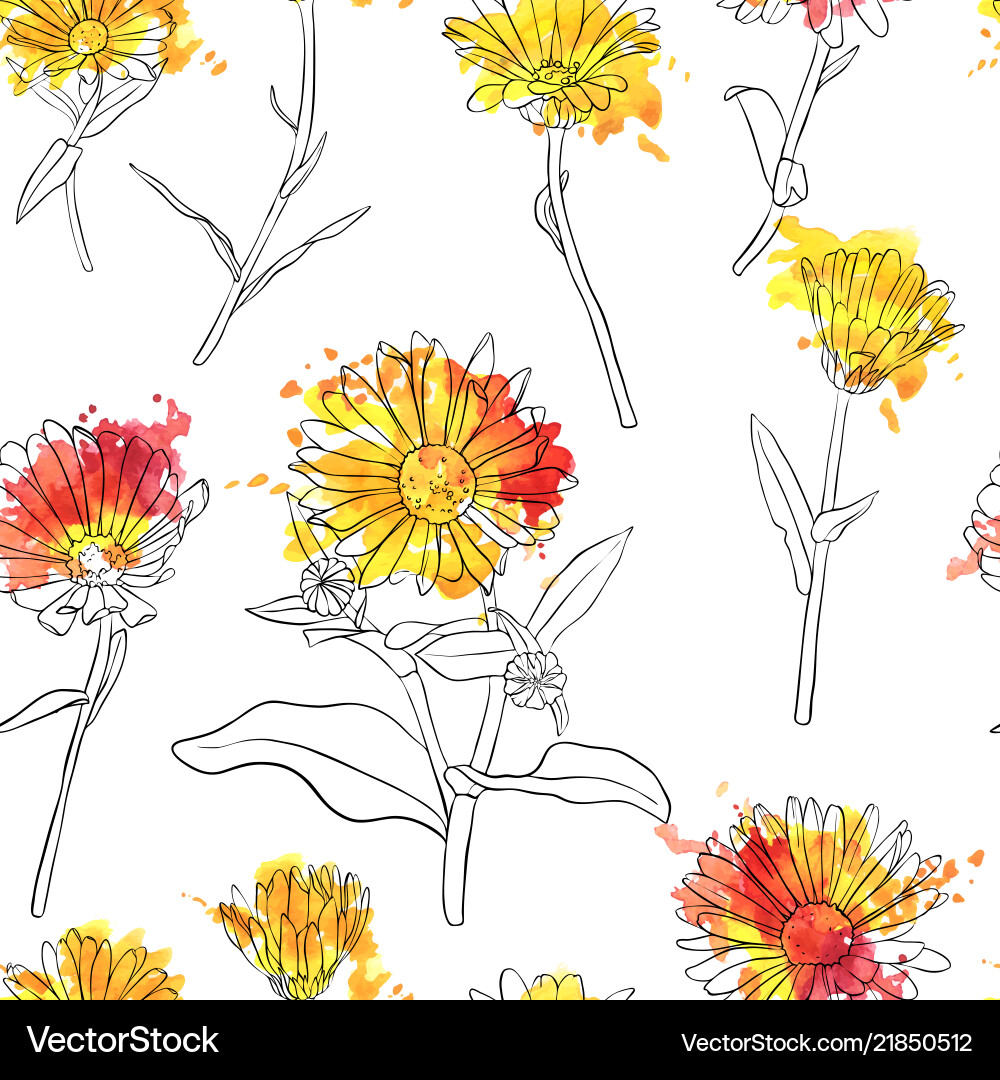 Set of drawing calendula flowers Royalty Free Vector Image