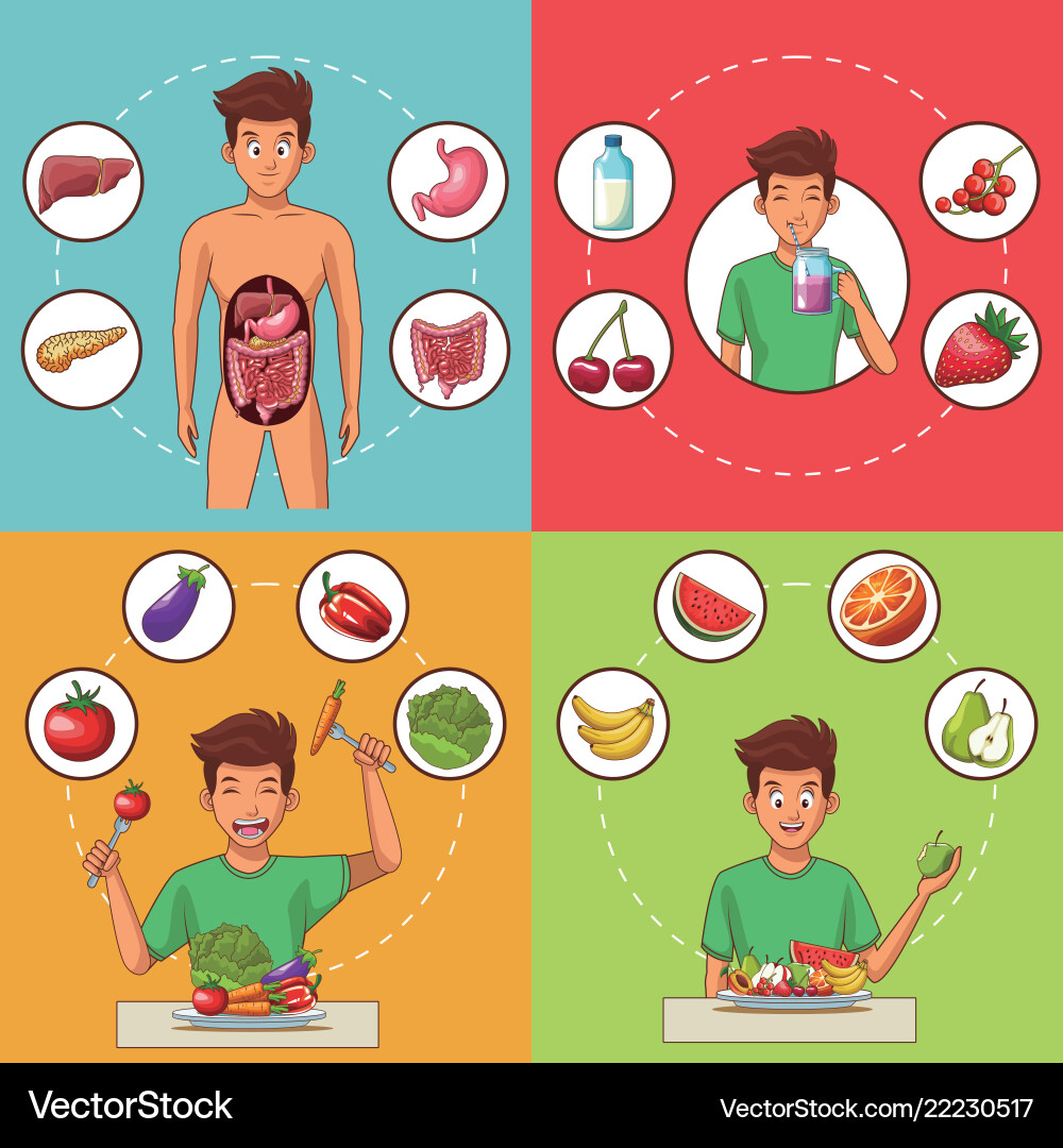 Set of digestive system cards Royalty Free Vector Image