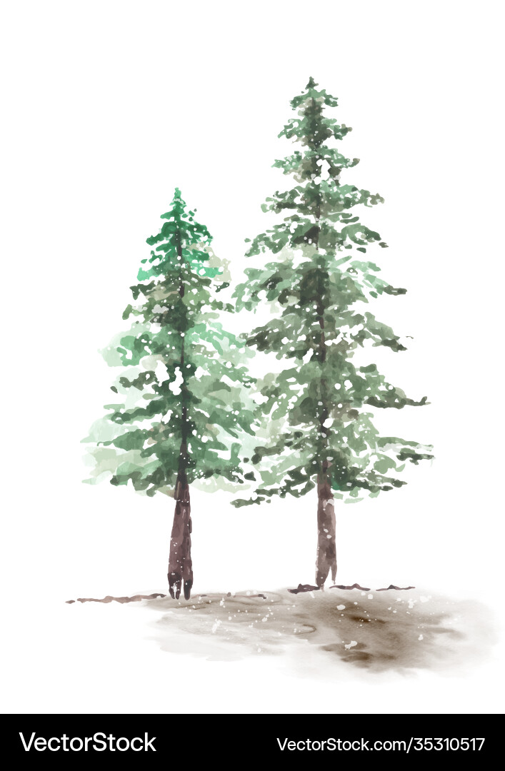 Snowy winter couple pine trees hand-painted Vector Image