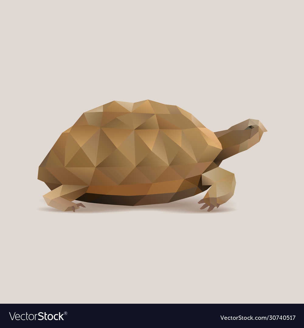 Turtle Royalty Free Vector Image - VectorStock