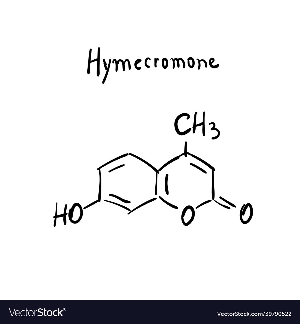 Hymecromone molecule formula hand drawn imitation Vector Image Hymecromone molecule formula hand drawn imitation Vector Image