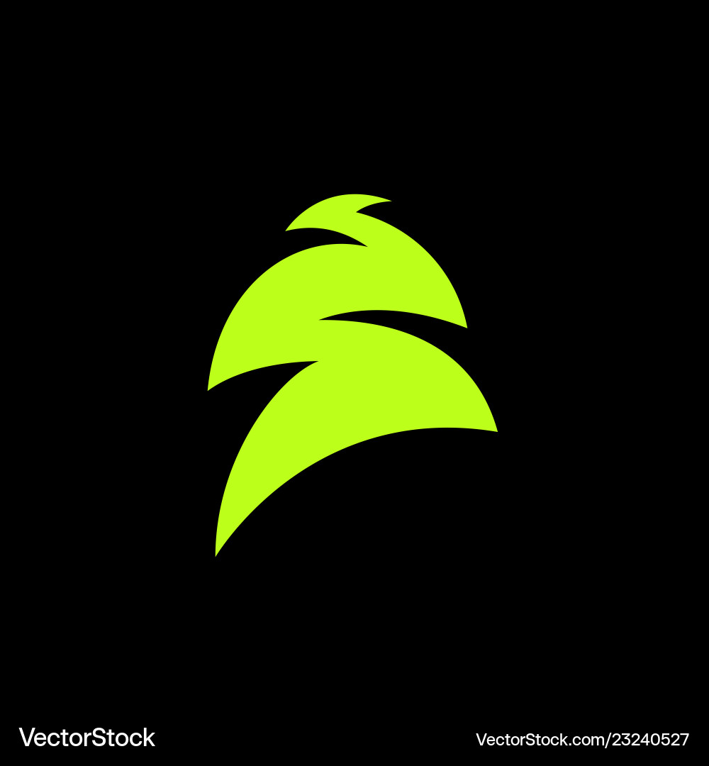 Evergreen coniferous green color needles tree Vector Image