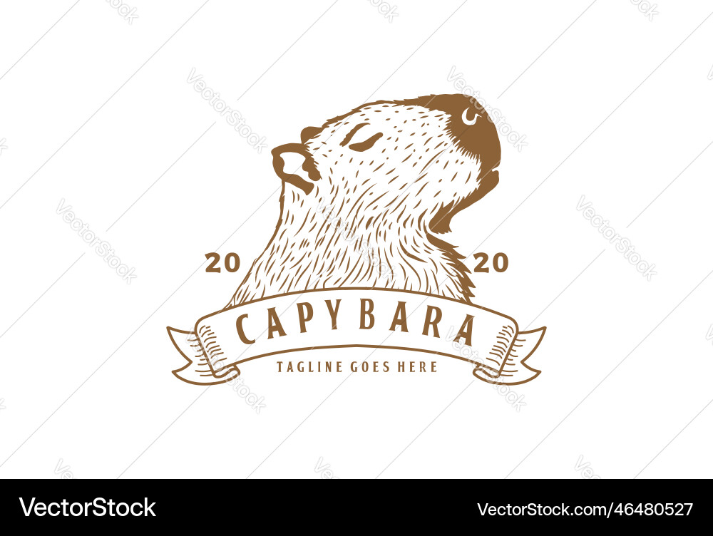 Vintage retro hand drawn capybara head Royalty Free Vector