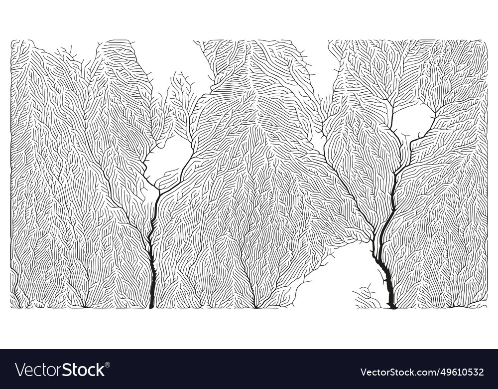 Growth pattern generative branching structure Vector Image