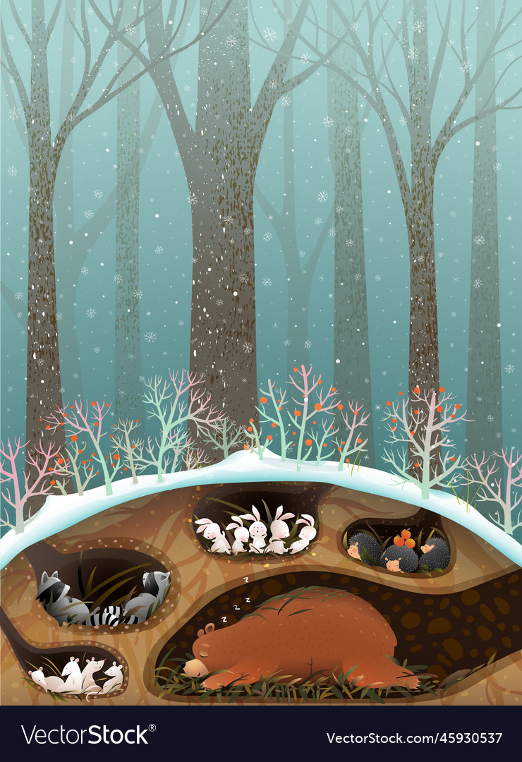 Animals sleeping in dens and burrows forest Vector Image