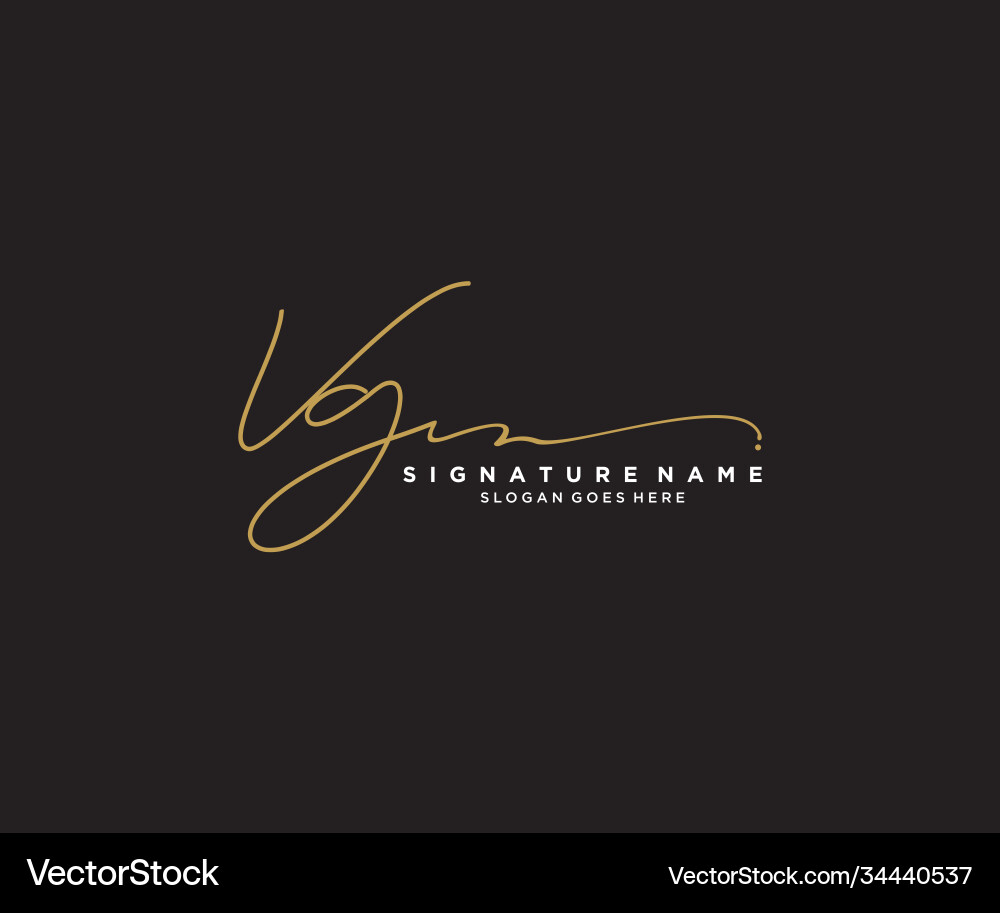 Letter vg signature logo template Royalty Free Vector Image