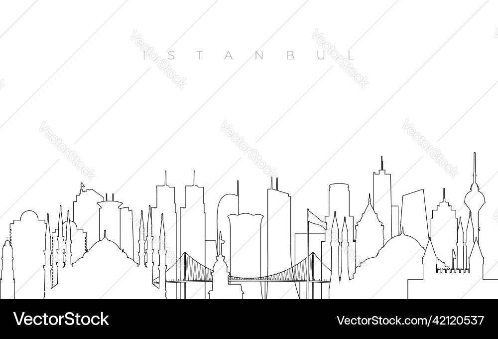 Outline istanbul skyline trendy template Vector Image