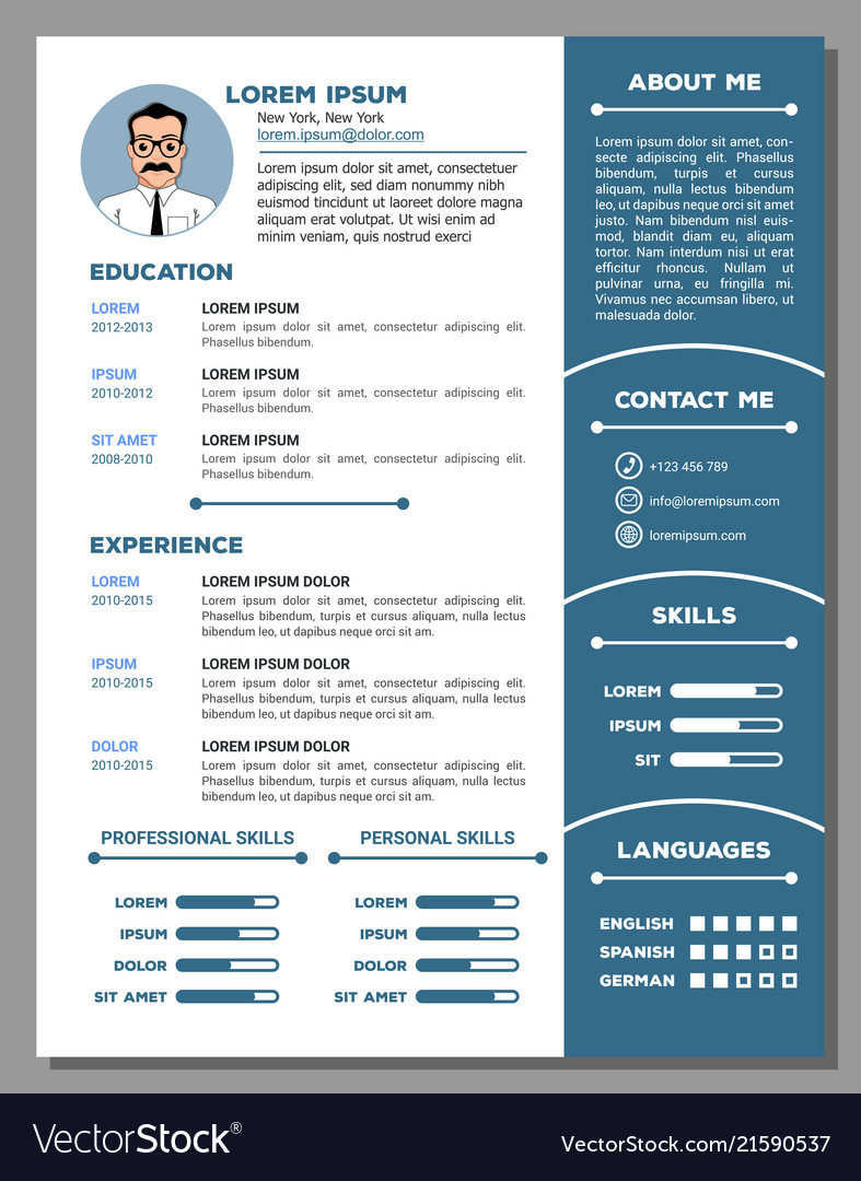 Professional Cv Template Buy Creative CV Template For Microsoft Word 