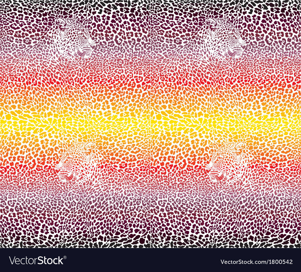 Leopard abstract pattern seamless background Vector Image