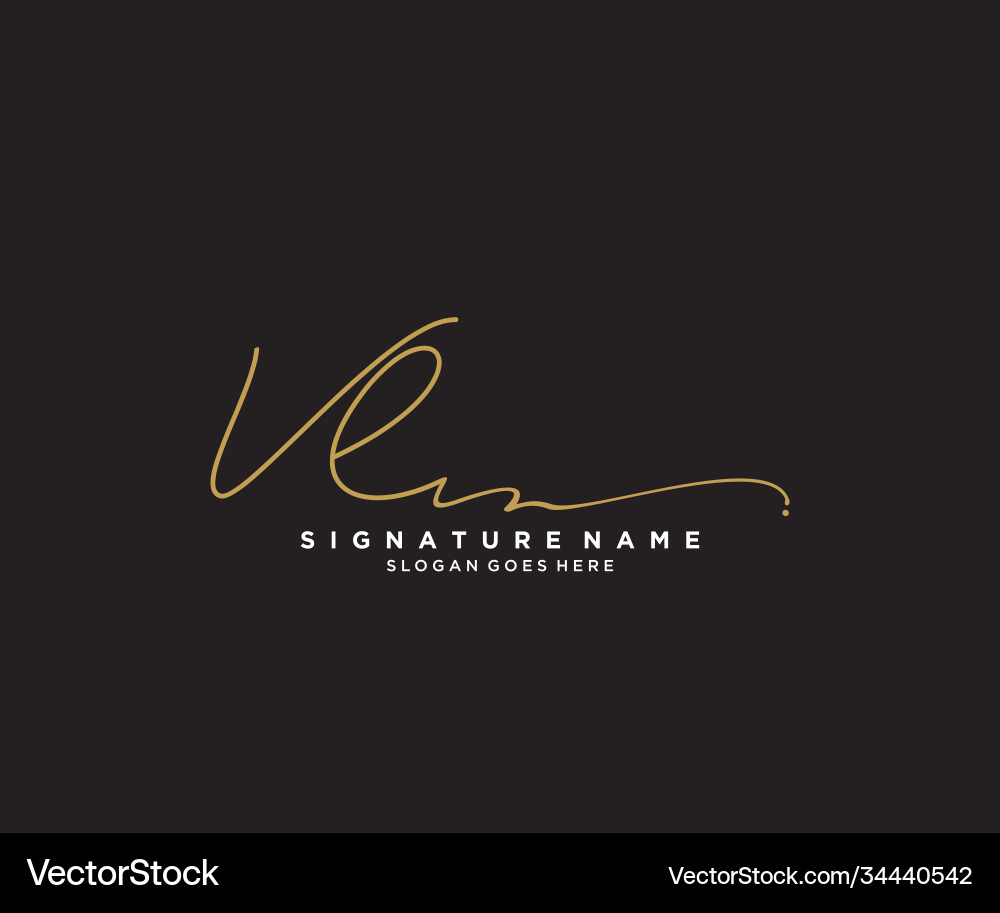 Letter vl signature logo template Royalty Free Vector Image
