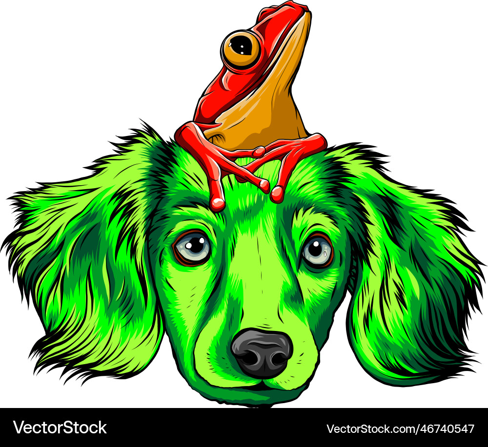 Dog and frog cartoon design Royalty Free Vector Image