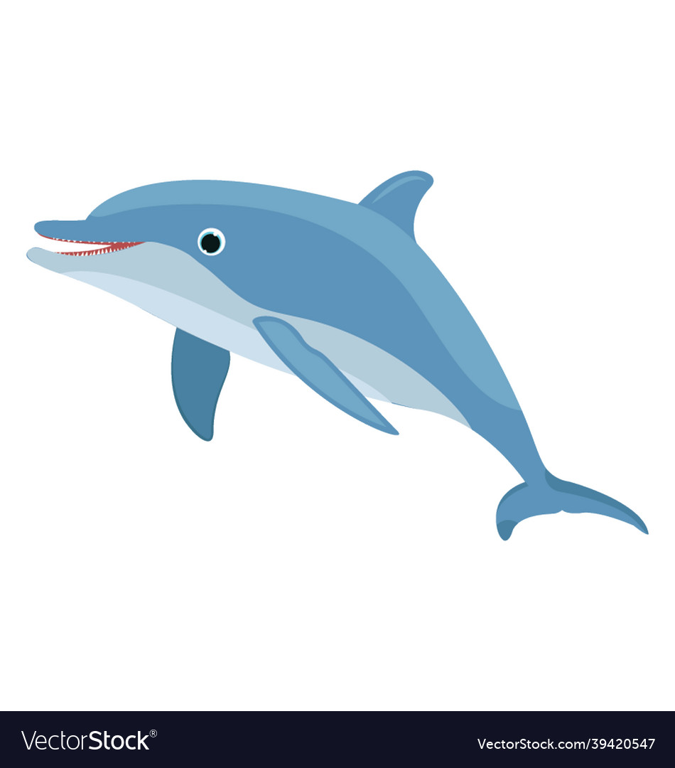 Dolphin Royalty Free Vector Image - VectorStock