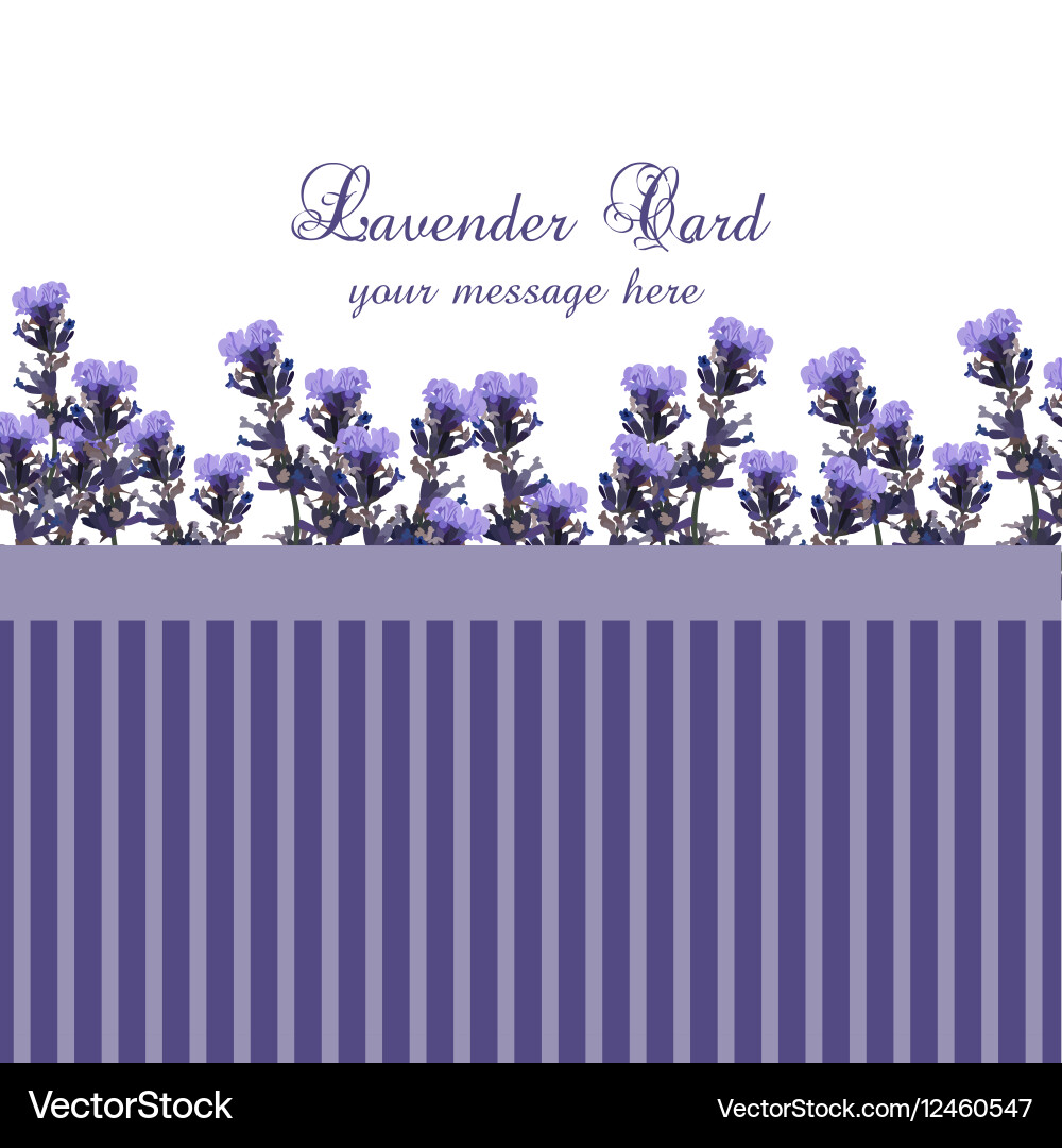 Lavender card with vintage border Royalty Free Vector Image