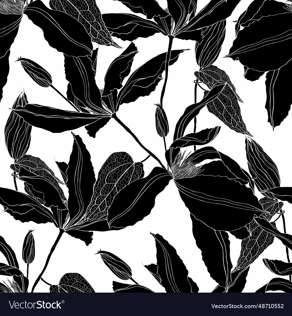 Clematis flowers floral tropical seamless pattern Vector Image Clematis flowers floral tropical seamless pattern Vector Image