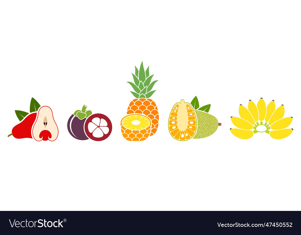 Fruit Royalty Free Vector Image - VectorStock