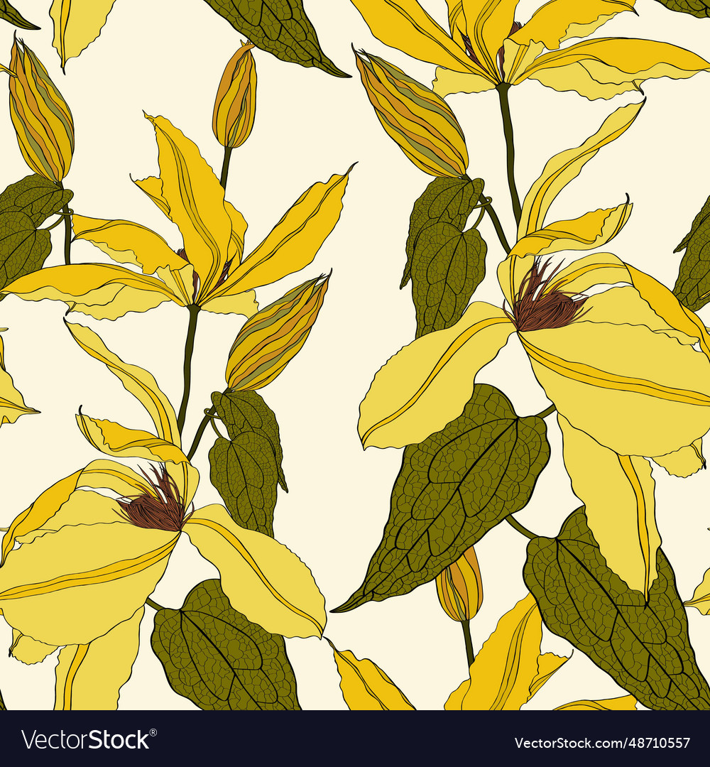 Clematis flowers floral tropical seamless pattern Vector Image Clematis flowers floral tropical seamless pattern Vector Image