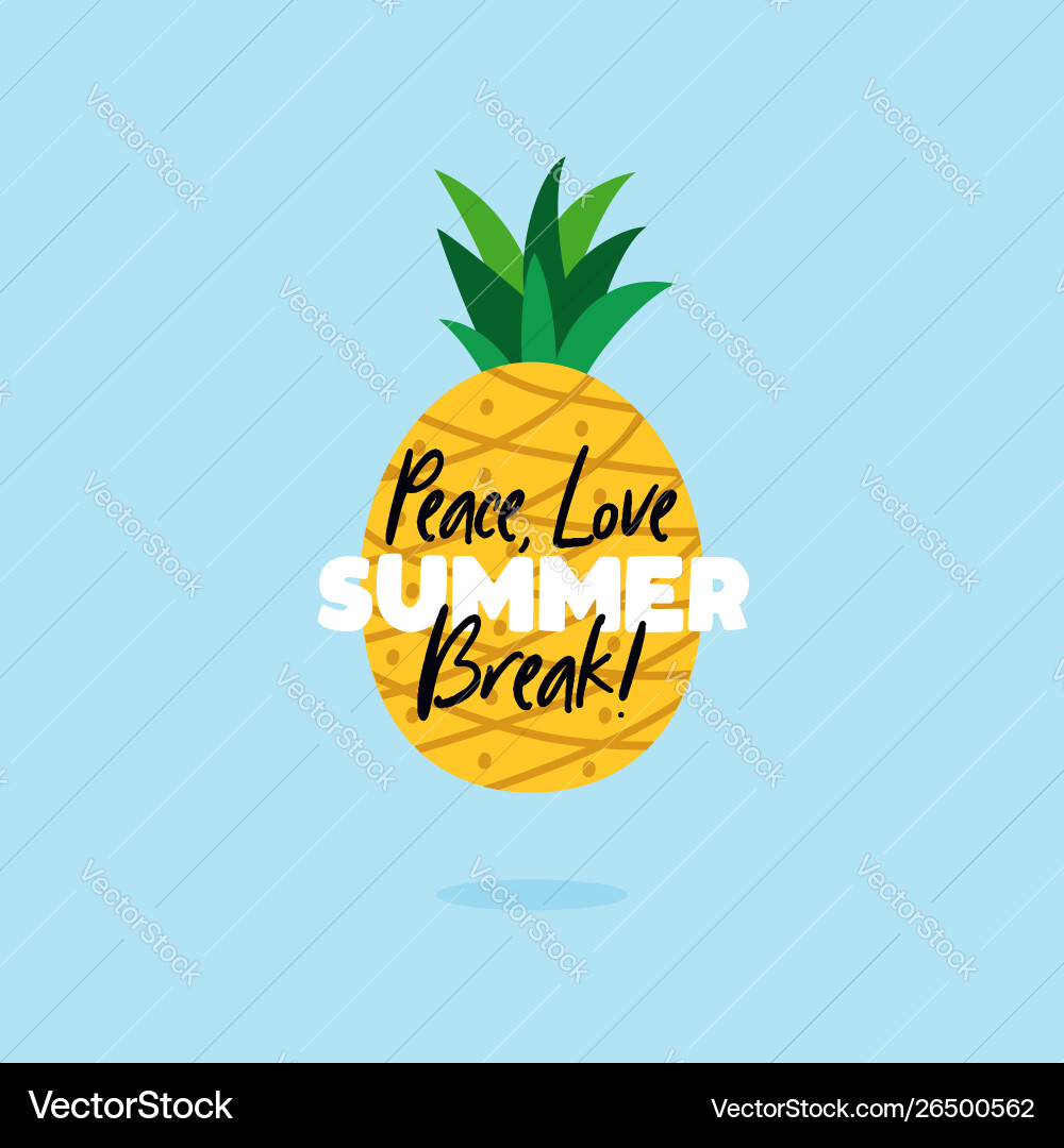 Peace love summer break quote text poster Vector Image