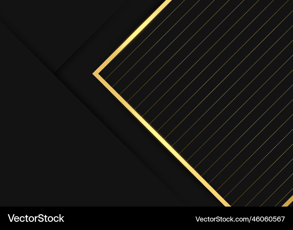 Gold line banner presentation luxury style Vector Image