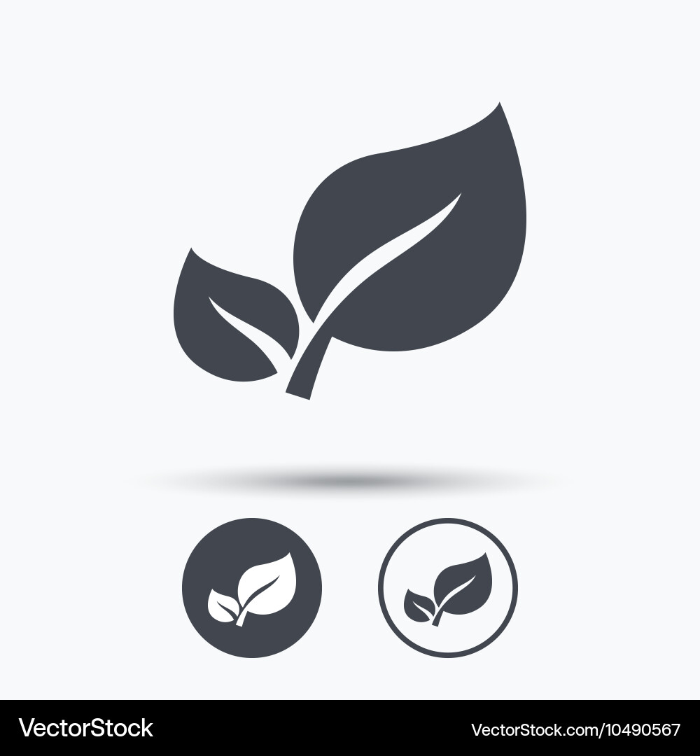 Leaf icon fresh organic product sign Royalty Free Vector