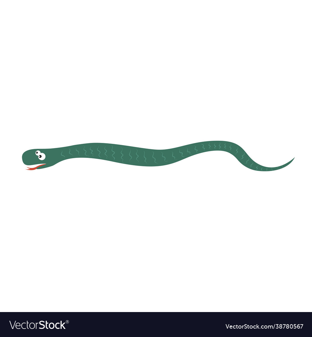 Snake in 2d cartoon style flat isolated Royalty Free Vector