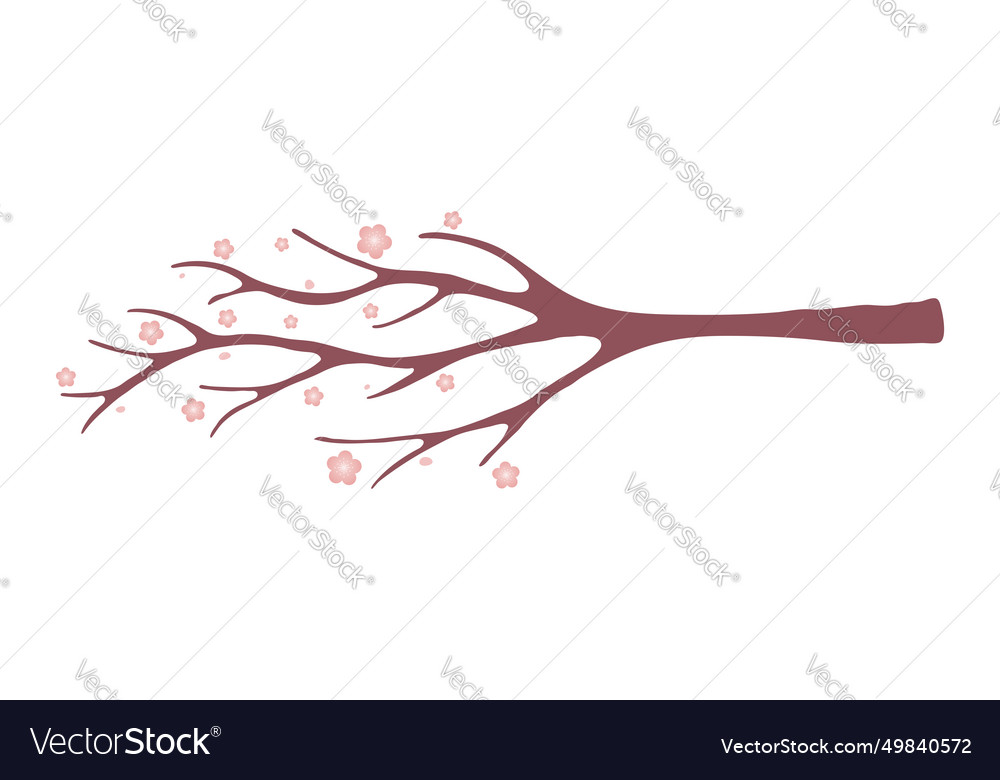 Plum apple tree branch with flowers Royalty Free Vector