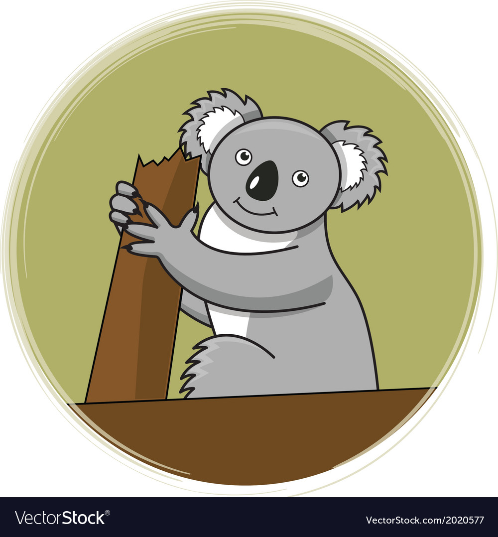 Koala Royalty Free Vector Image - VectorStock