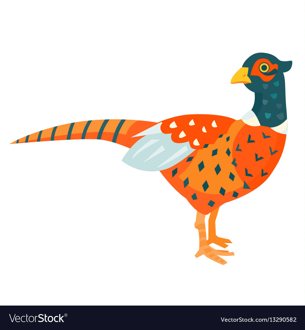 Pheasant Royalty Free Vector Image - VectorStock