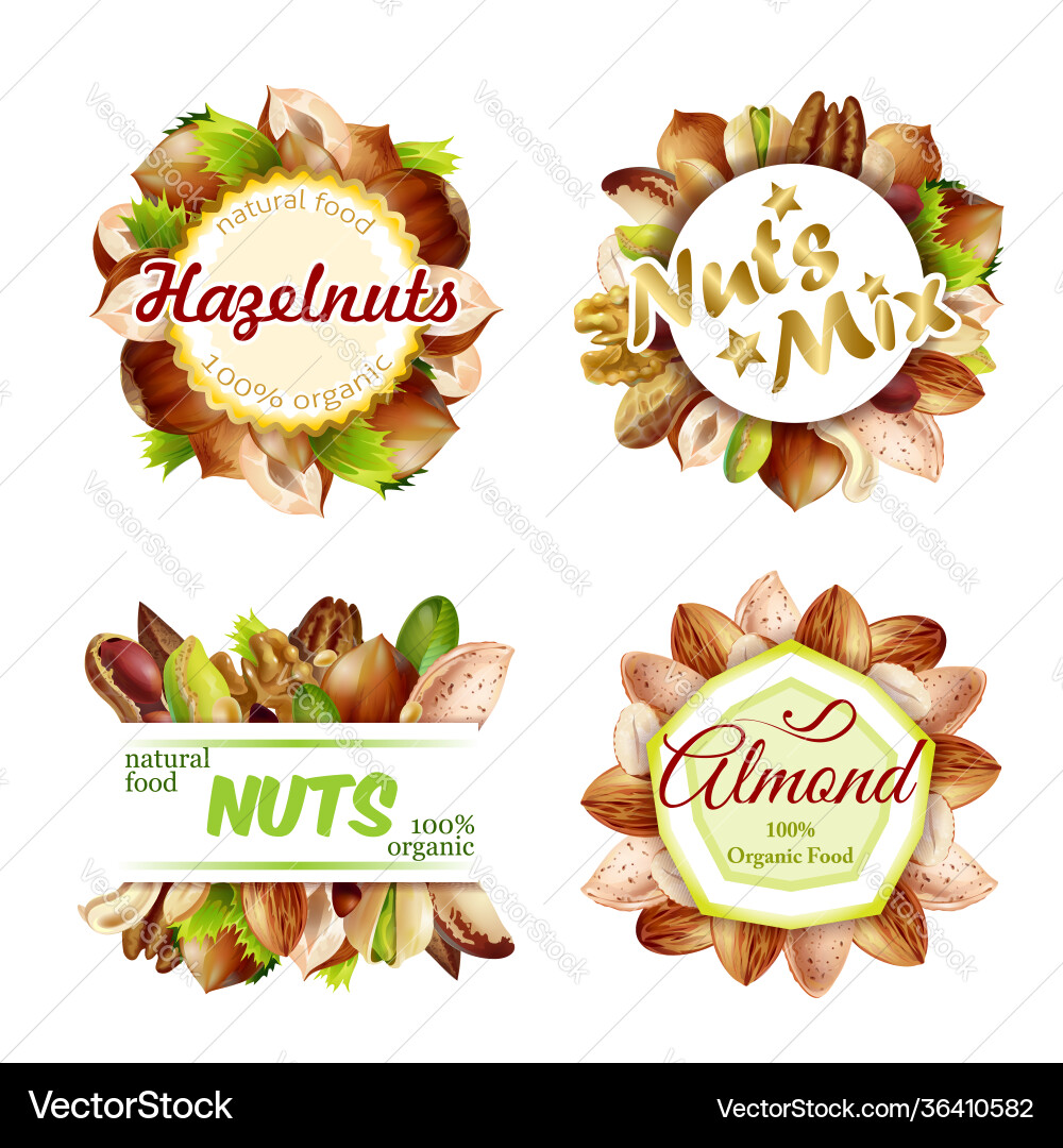 Premium colorful natural nuts labels set Vector Image