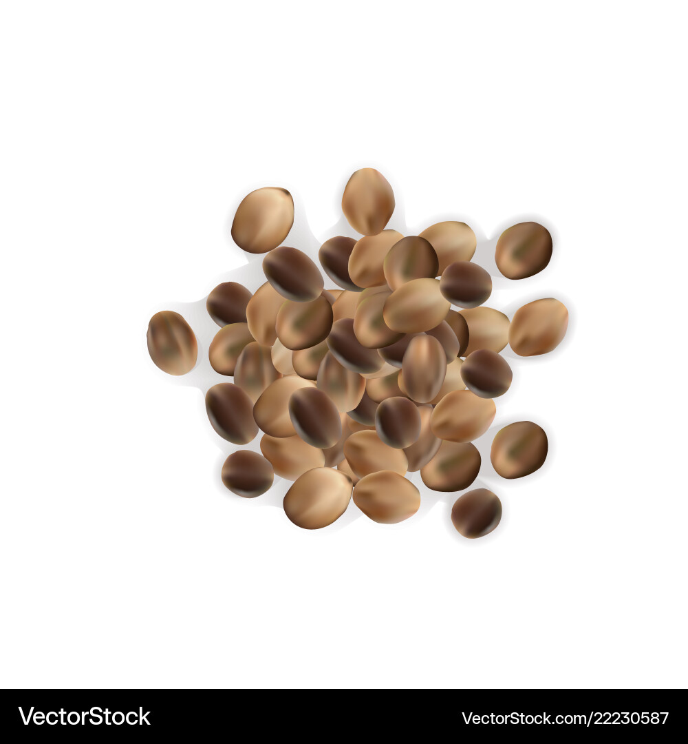 Hemp seeds isolated on white background top view Vector Image