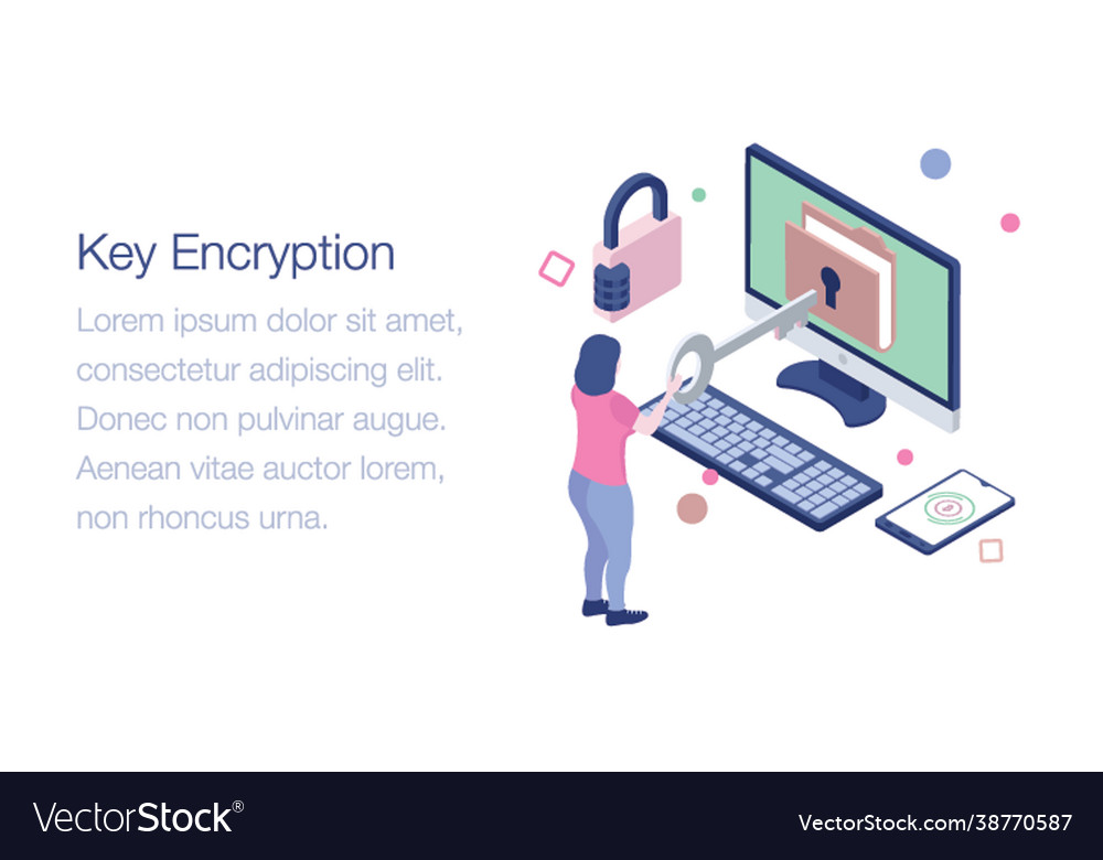 Key encryption security Royalty Free Vector Image