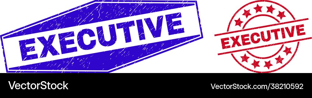 Executive grunge watermarks in round and hexagon Vector Image